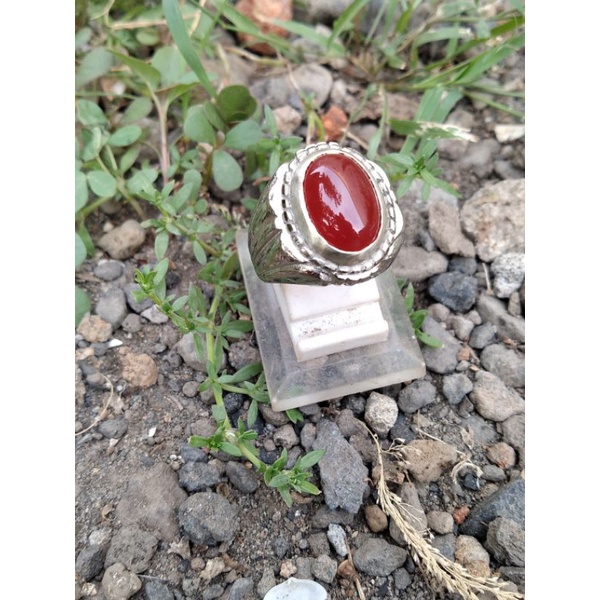 Natural Stone red baron | Shopee Malaysia