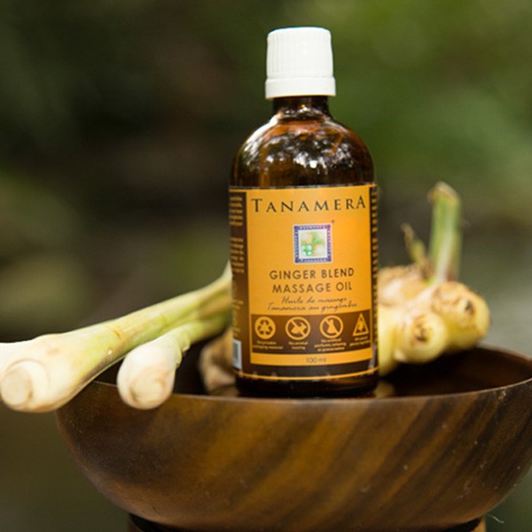 Ready Stock Expiry Nov2026 Tanamera Ginger Blend Massage Oil 100 Ml