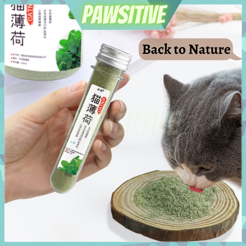 PAWSITIVE Catnip Powder/Cat Nip/Cat Mint/Cat Snack/Cat Treat Snack/Cat ...