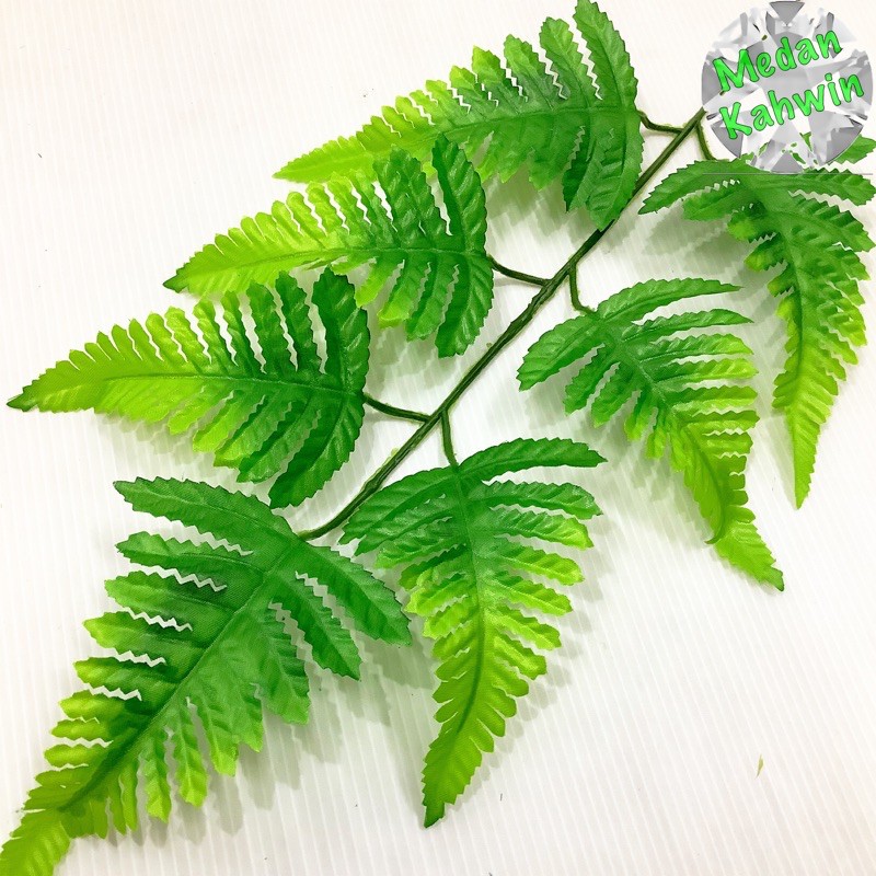 #HH2280 (3 pcs) Daun Paku-pakis Buatan Articial Fern Leaves | Shopee ...
