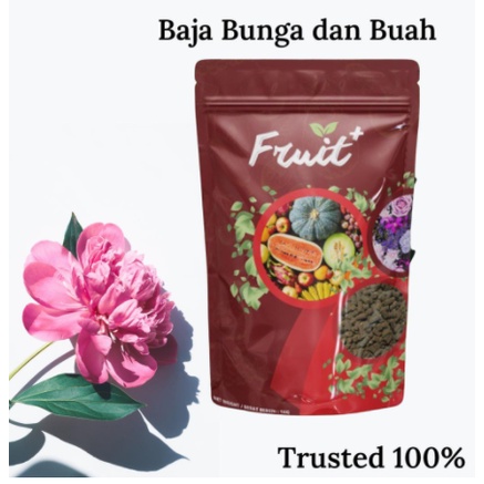 [🔥HOT ITEM🔥] BAJA FRUITPLUS 🌸BAJA BUNGA DAN BUAH🌸 | Shopee Malaysia