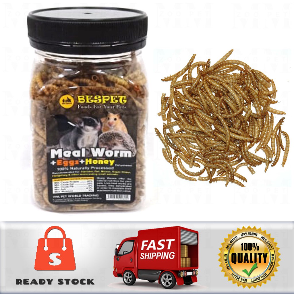 Meal Worm (Hamster Food/Rat Food/Mouse Food/Sugar Glider Food) - 60g ...