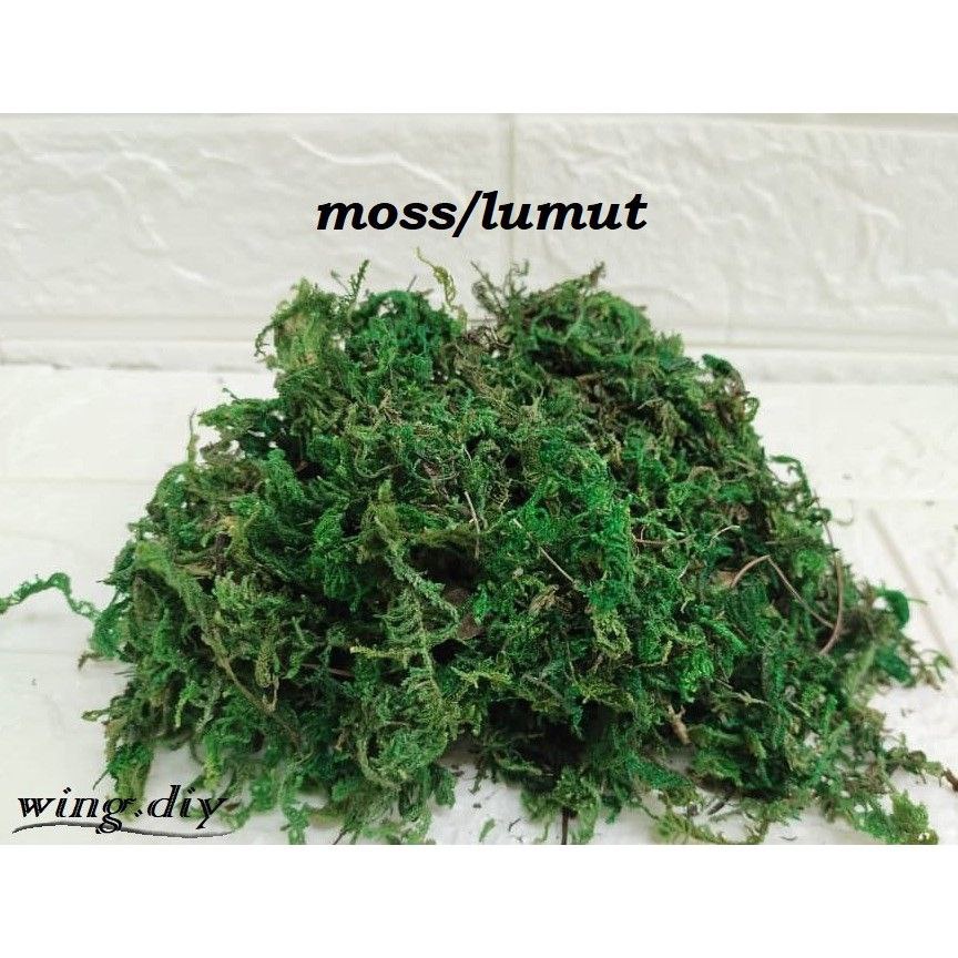 300G+- ARTIFICIAL MOSS FOR PLANTERS FLOWER GARDEN LAWN CRAFTS WEDDING ...