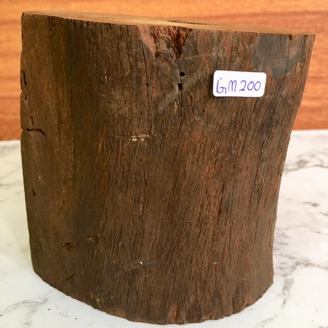 Teras Kayu Gemunggal/ Kayu Kelor Asli 大马哥木哥木 | Shopee Malaysia