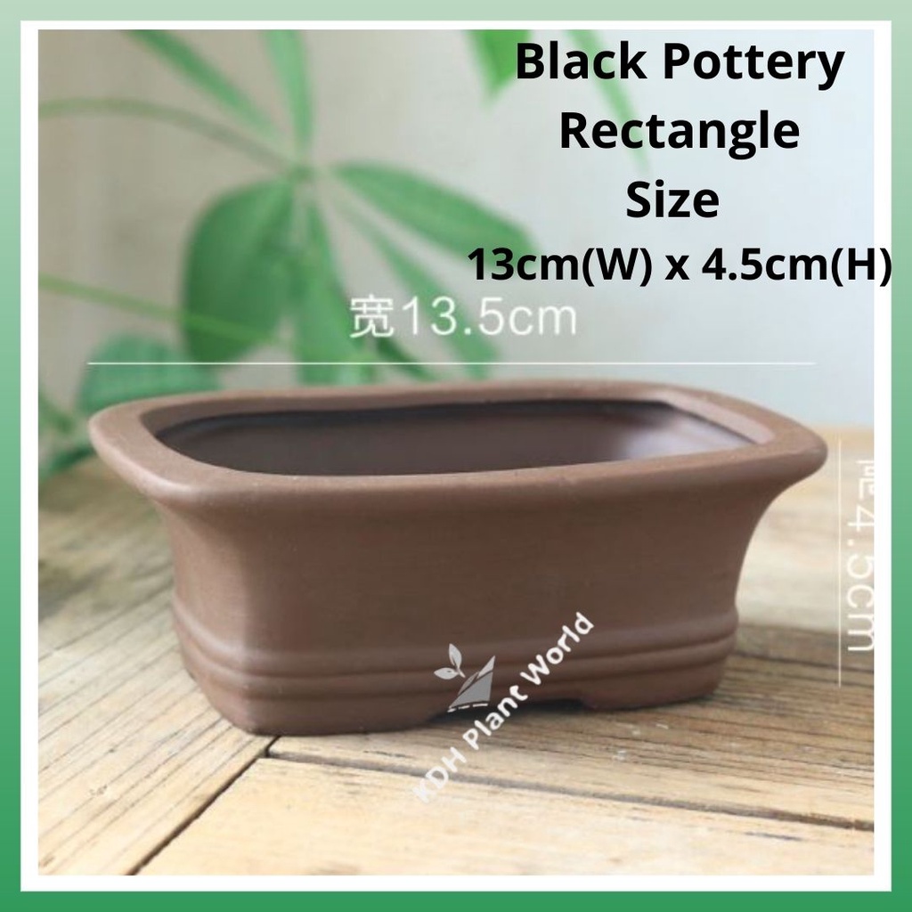 KDH Ready Stock Porcelain Succulent Cactus Bonsai Flower Pot Pasu Bunga ...
