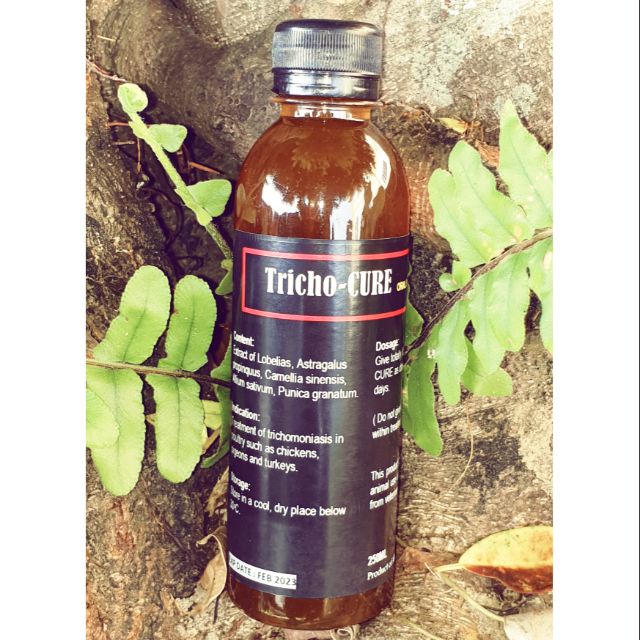 Tricho - CURE Ubat Puru Dalam Tekak Ayam & Burung 250ml | Shopee Malaysia