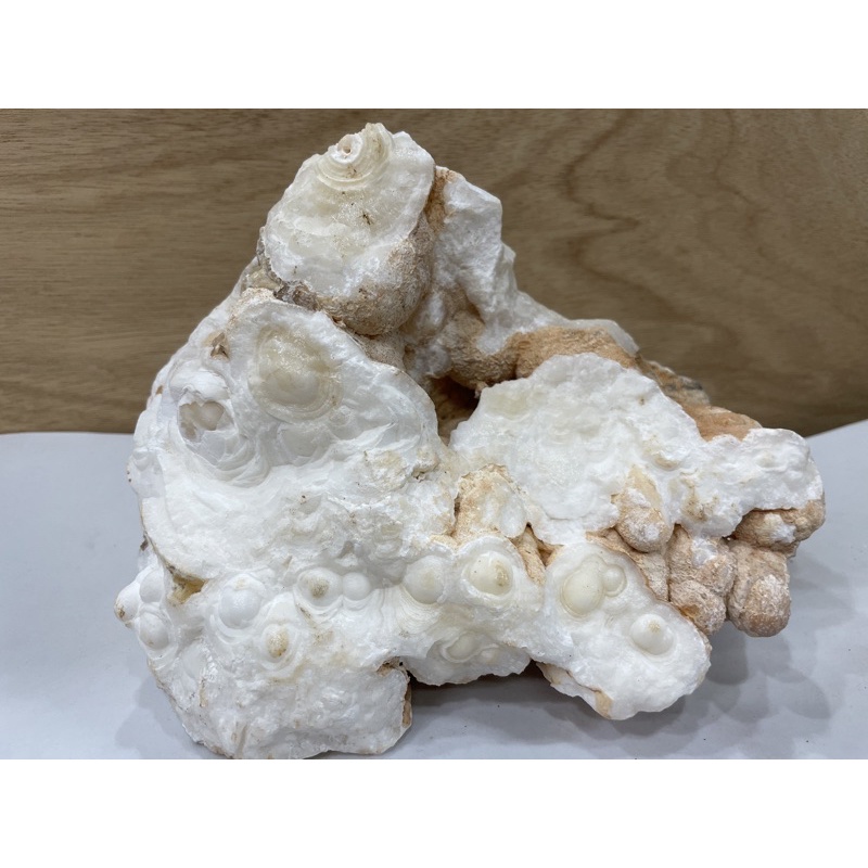 D5069 Natural Thai Dragon Palace Relic Raw Ore Jade White Relics With ...