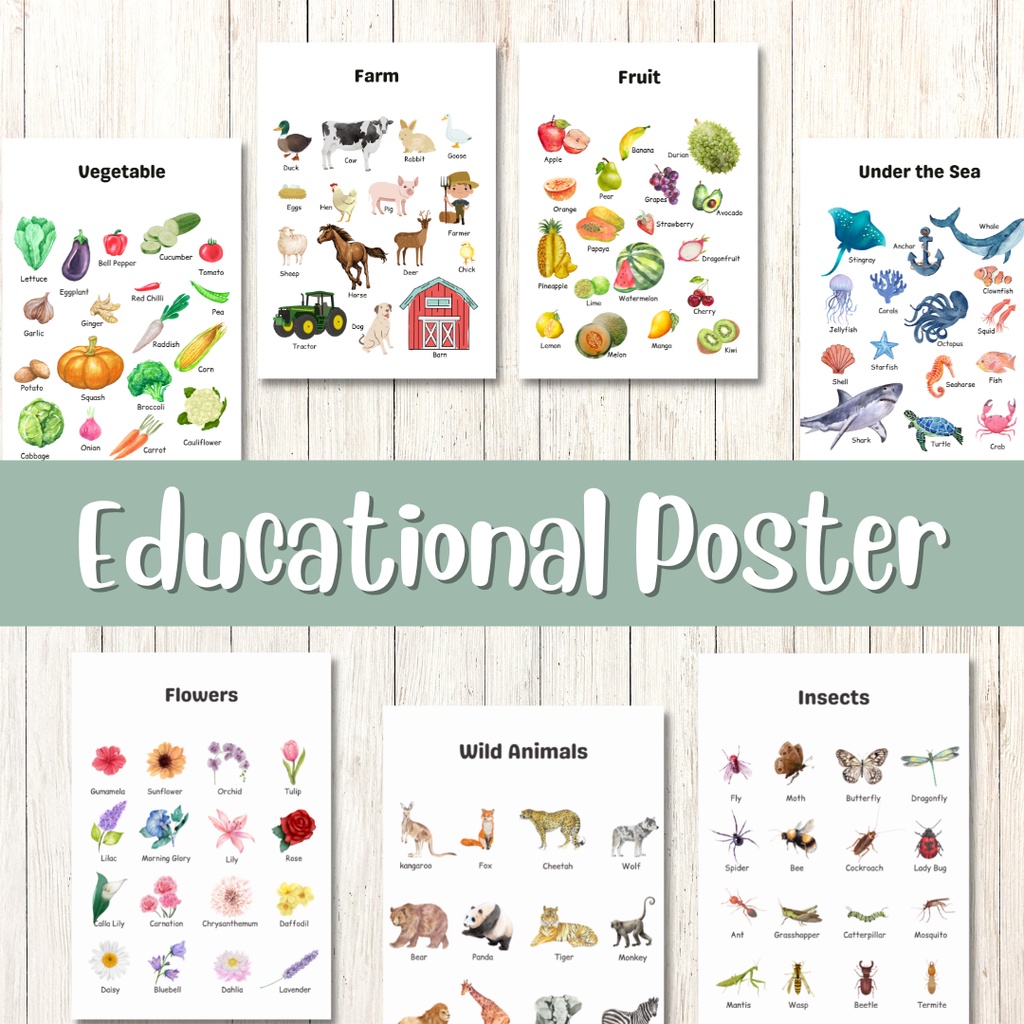 A3 A4 Laminated Educational Poster, Animal Farm Animals Sea Fruit ...
