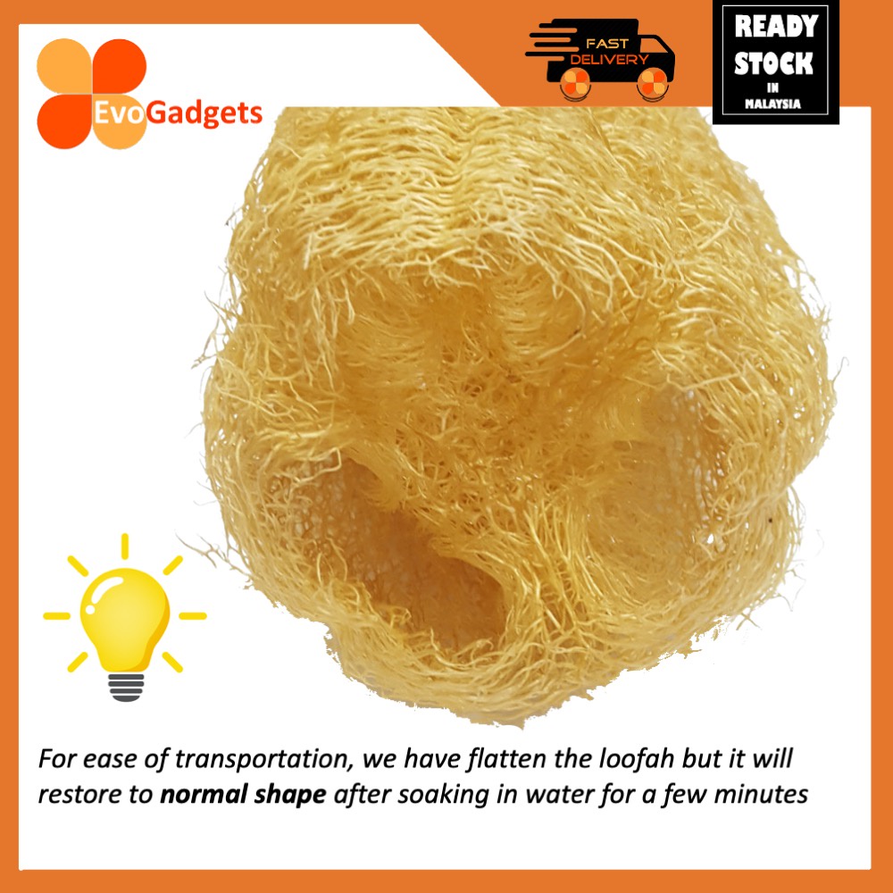 Evogadgets x2pcs Premium Natural Loofah / Luffa Sponge Body Bath / Span ...