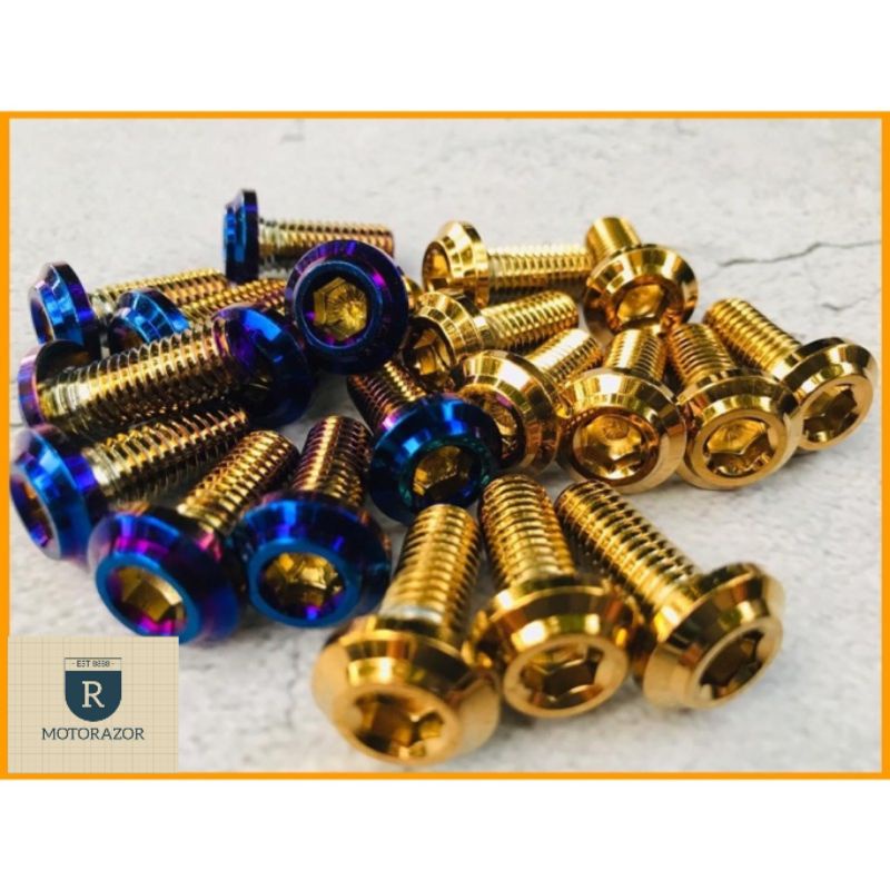 UNIVERSAL HEAVY DUTY TITANIUM DISC PLATE SCREW SKRU M8 20MM M6 20MM ...