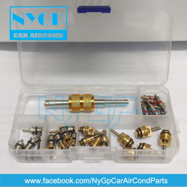 VALVE CORE PIN SET WITH OPENER Valve Core Kit (Complete with valve ...