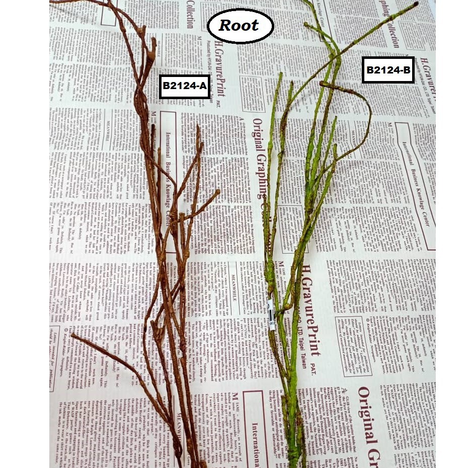 ARTIFICIAL RUBBER BRANCHES/ ORCHID ARRANGEMENT WIRE STICK/ GUBAHAN ...