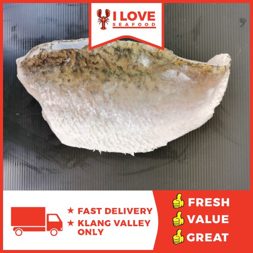 Premium Seabass Fillet 石甲鱼片 100-200g / piece | Frozen Fish & Chip ...