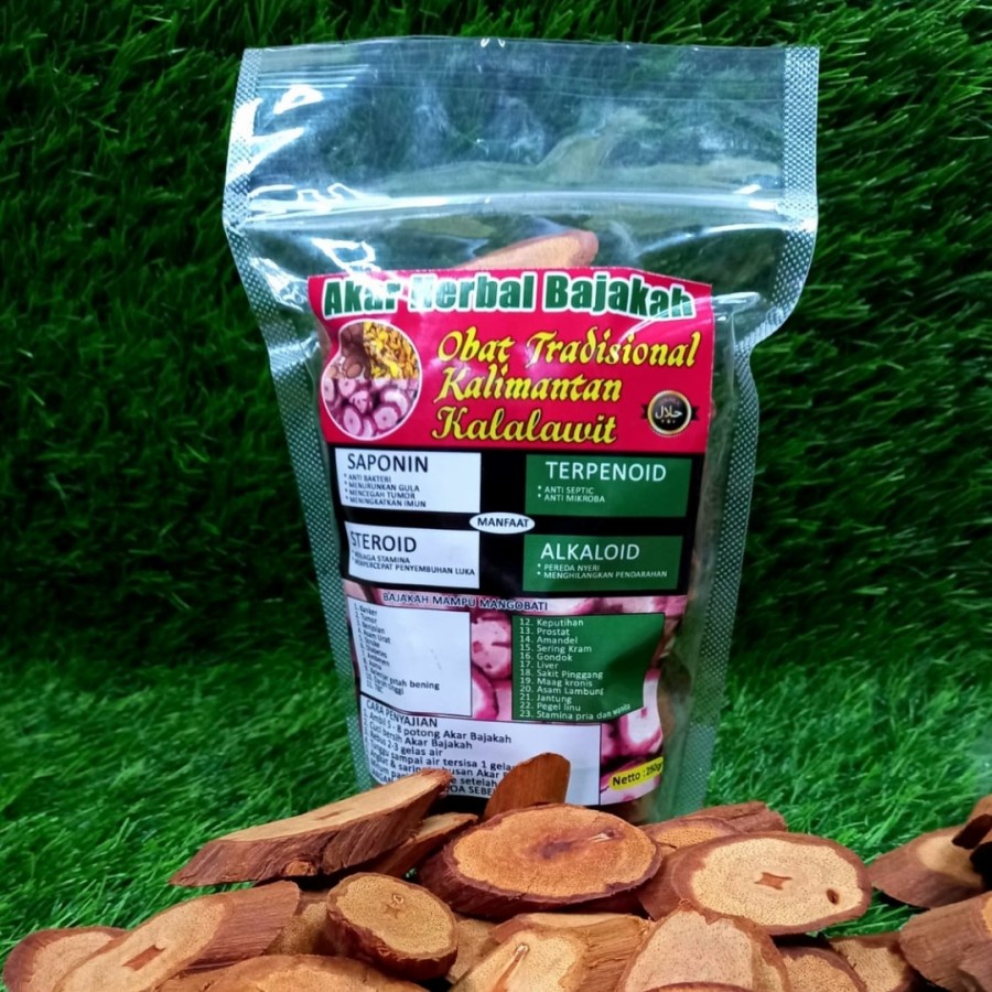 KAYU Root BAJAKAH Kalawit SUPER PREMIUM Original KALIMANTAN 100% ...