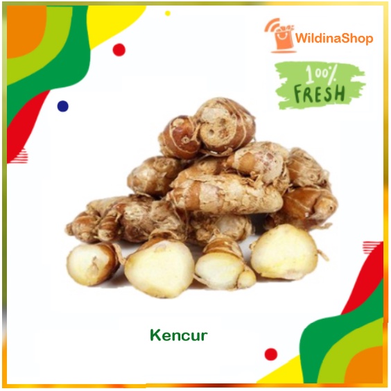 Original Fresh Kencur (50 gr) | Shopee Malaysia
