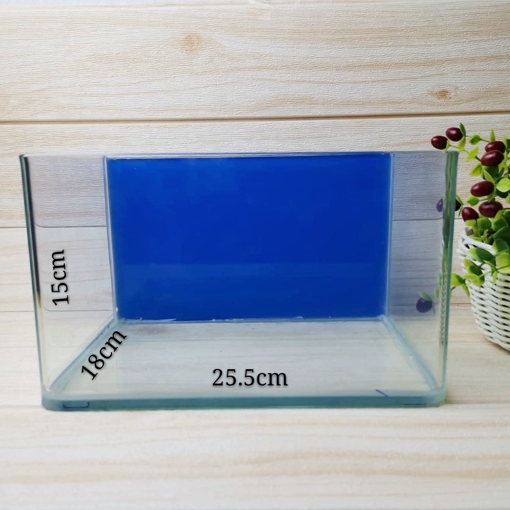 *Desktop Aquarium* L Size 5mm Thick Curve Glass Fish Tank Aquarium ...