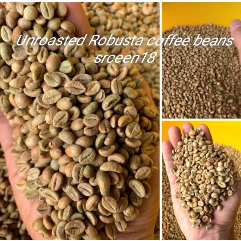 Vietnam Raw coffee beans - 𝐑𝐨𝐛𝐮𝐬𝐭𝐚 𝐆𝐫𝐞𝐞𝐧 𝐜𝐨𝐟𝐟𝐞𝐞 𝐛𝐞𝐚𝐧𝐬 𝐬𝐜𝐫𝟏𝟖🇻🇳 - 1kg/5kg ...
