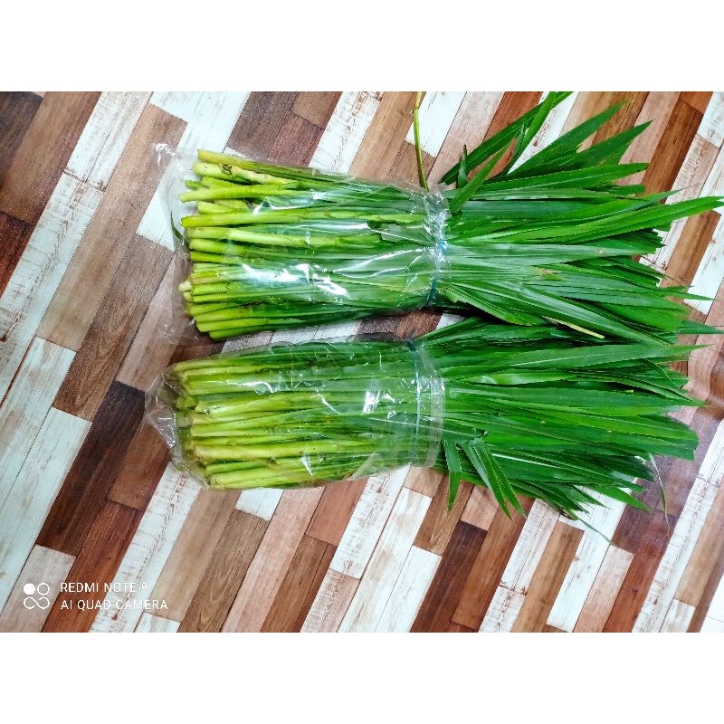 1 kg daun Rumput Napier pandan,India ,n.guatemala Dan n.merah untuk ...