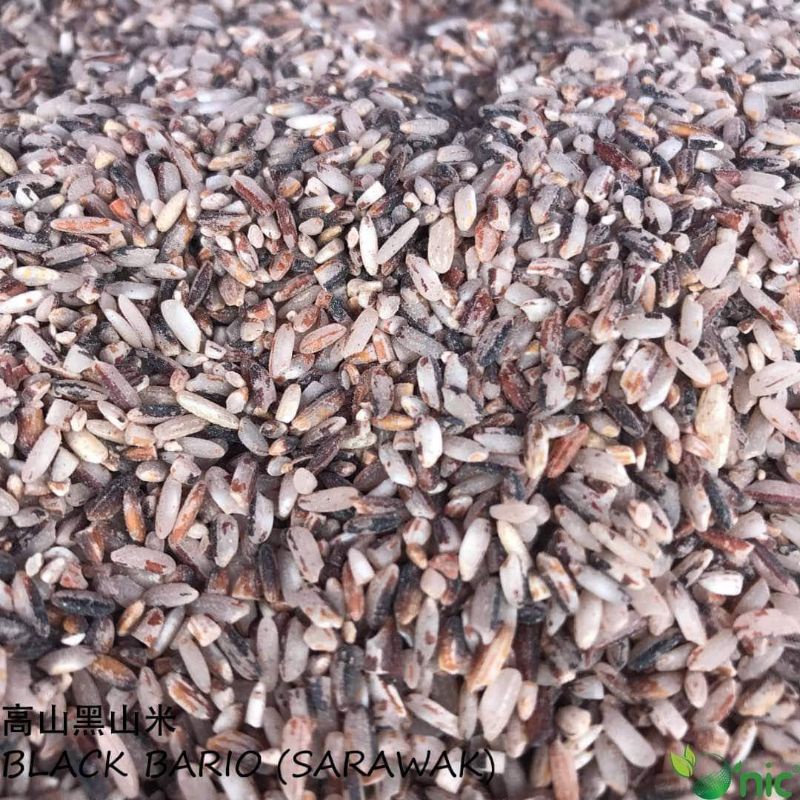 砂拉越高山黑糙米 Sarawak Black Bario Rice 5KG | Shopee Malaysia