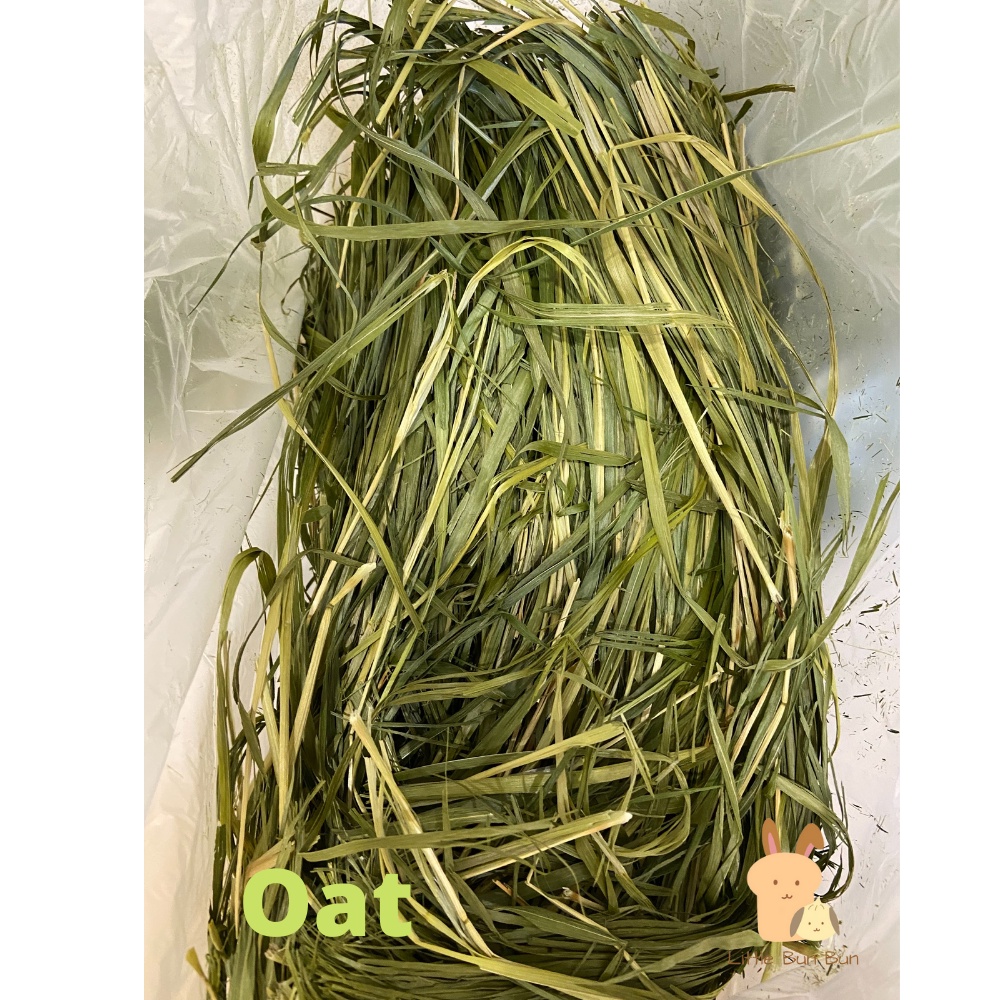 SALES-Premium dried Timothy hay/ wheatgrass/orchard/Oat/barley🌾 dry ...