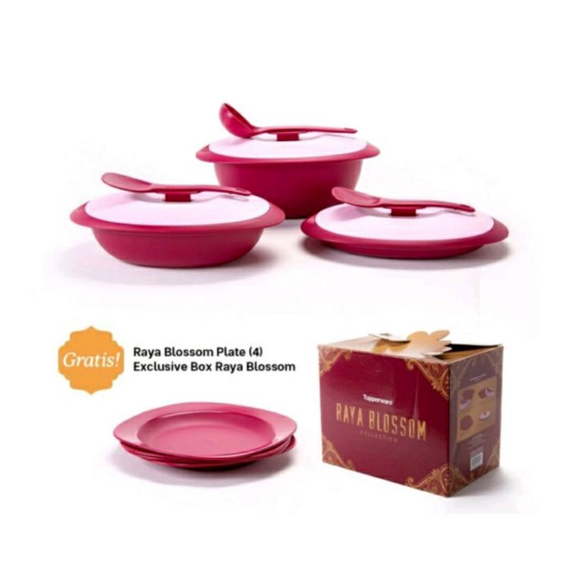 Raya blossom collection free plate spinning ORI | Shopee Malaysia