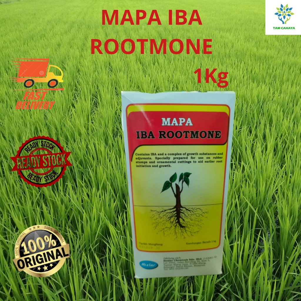 1Kg MAPA IBA ROOTMONE Penggalak Akar Pokok Bunga Root Hormone Sayur ...