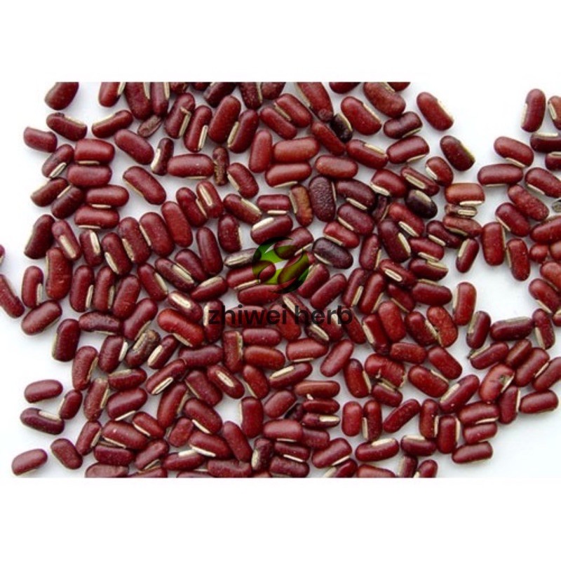 【BEAN】500gram Rice Bean 赤小豆/Chi Xiao Dou-red bamboo beans | Shopee Malaysia