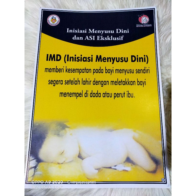 (65) Exclusive IMD & ASI POSTER | Shopee Malaysia