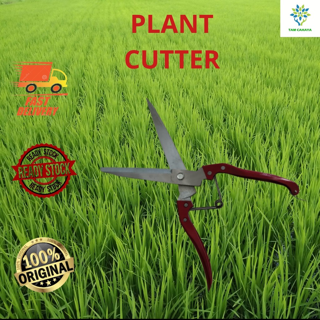 Plant Cutter Hand Pruner Gardening Hand Pruner Scissors (E) Gunting ...