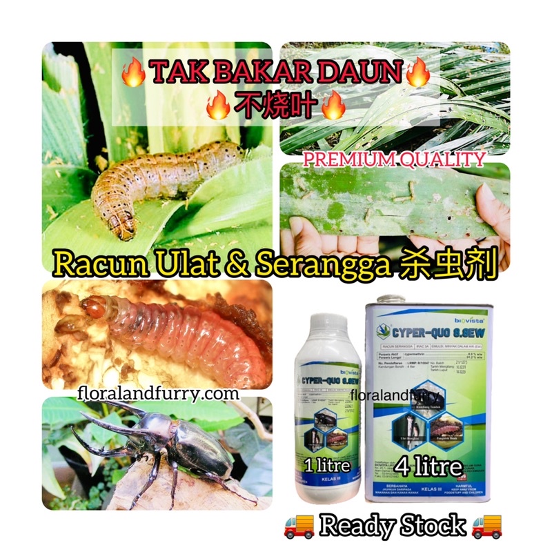 1L 4L Biovista Cyper-Quo 8.8EW Cypermethrin Racun Serangga Kumbang Tanduk Kutu Trip Ulat Daun ...