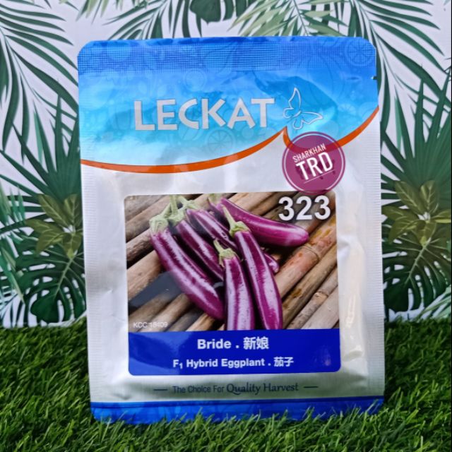 🔥NEW STOCK🔥Paket 10g (2000 Biji) BRIDE 323 Leckat Biji Benih Terung ...