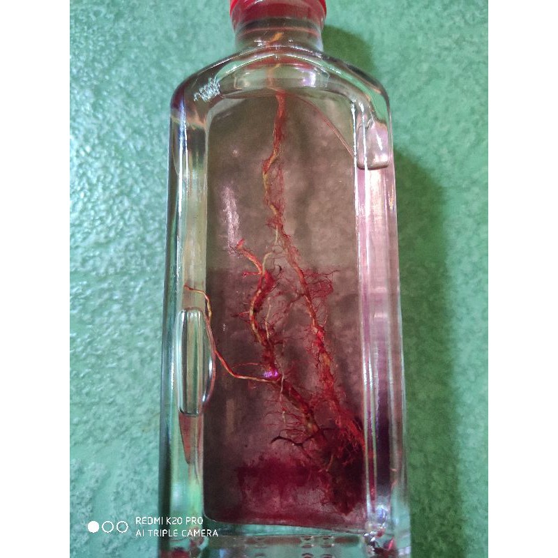 Minyak Panas/Angin Herba Asli 💯 Original | Shopee Malaysia