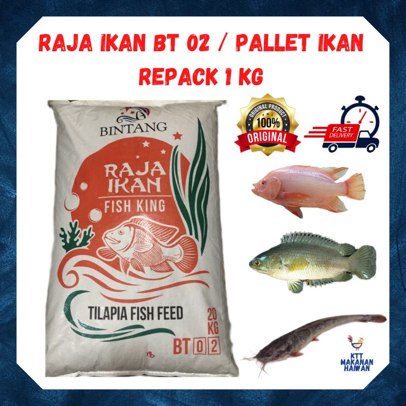 KTT Raja Ikan BT 02 Makanan Ikan Talapia Dedak Ikan Pancing Umpan ...