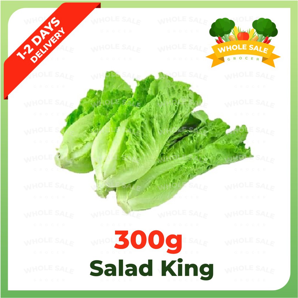 Salad King / Salad King | 生菜王 (300G) | Shopee Malaysia