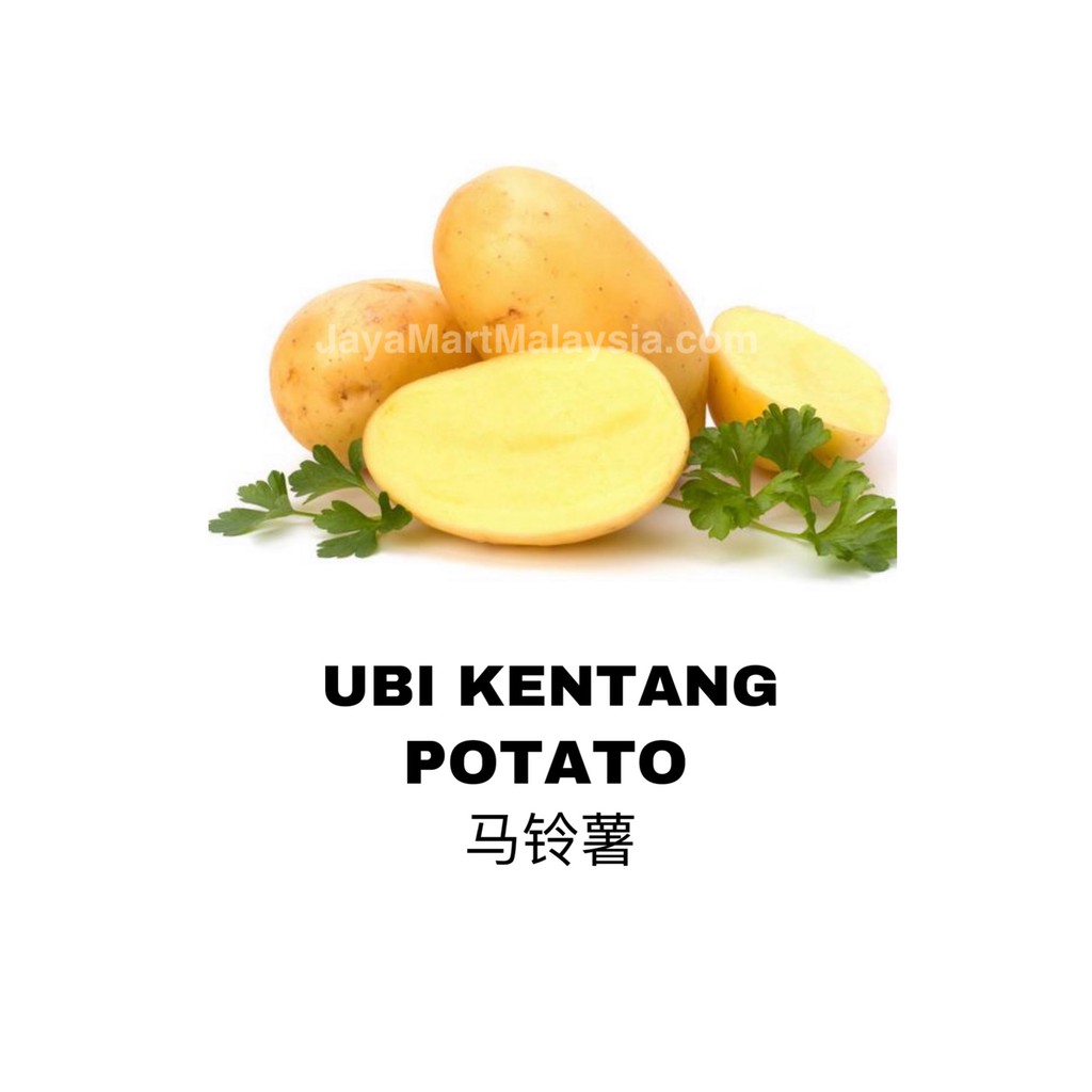 [Klang Valley Only]Ubi Kentang Potato - 500g +/- | Shopee Malaysia