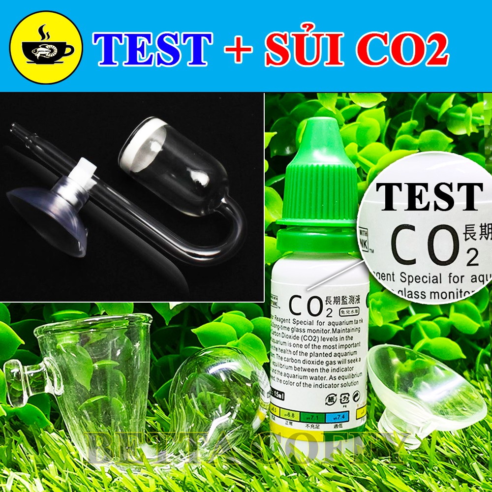 Co2 Effervescent Cup Test Kit in aquarium | Shopee Malaysia