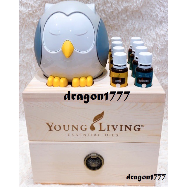 YL OWL DIFFUSER DISPLAY RACK/ PREMIUM GRADE STORAGE BOX FOR ESSENTIAL ...
