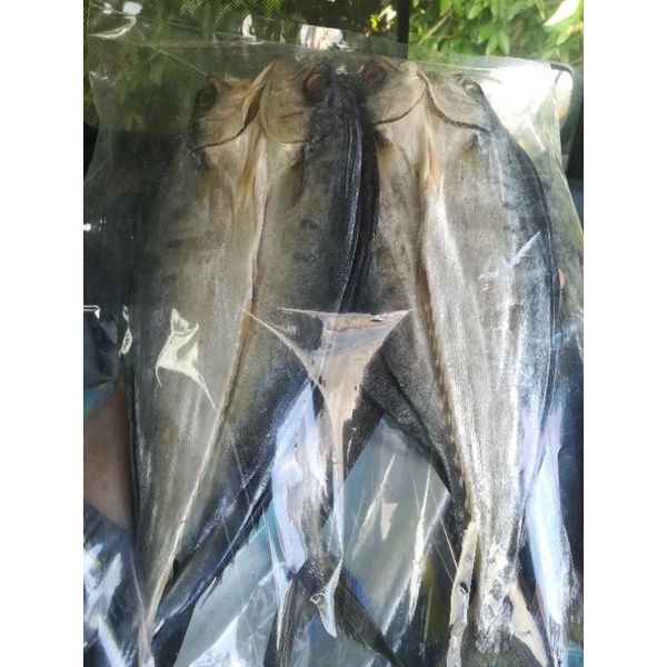 Ikan talang padi (500g) | Shopee Malaysia