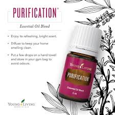 Purification Essential Oil 5ml | Shopee Malaysia