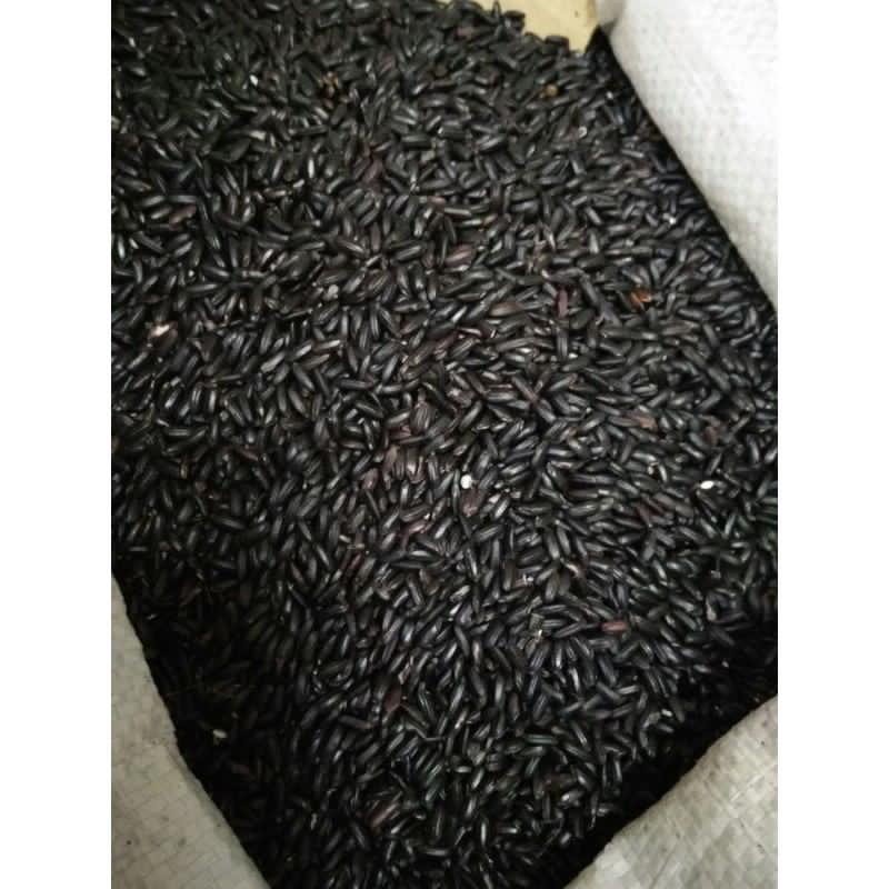 PULUT HITAM CANTIK NOMBOR 1 / BLACK GLUTINOUS RICE 🔥 | Shopee Malaysia