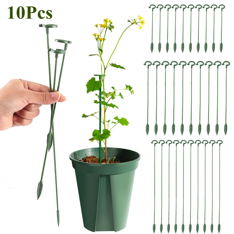 10Pcs Plant Shape Bracket/Anti-lodging Phalaenopsis Flower Supports ...