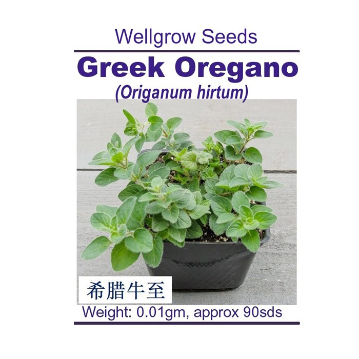 Biji Benih | WHT Wellgrow Seeds #23842157 Greek Oregano | Shopee Malaysia