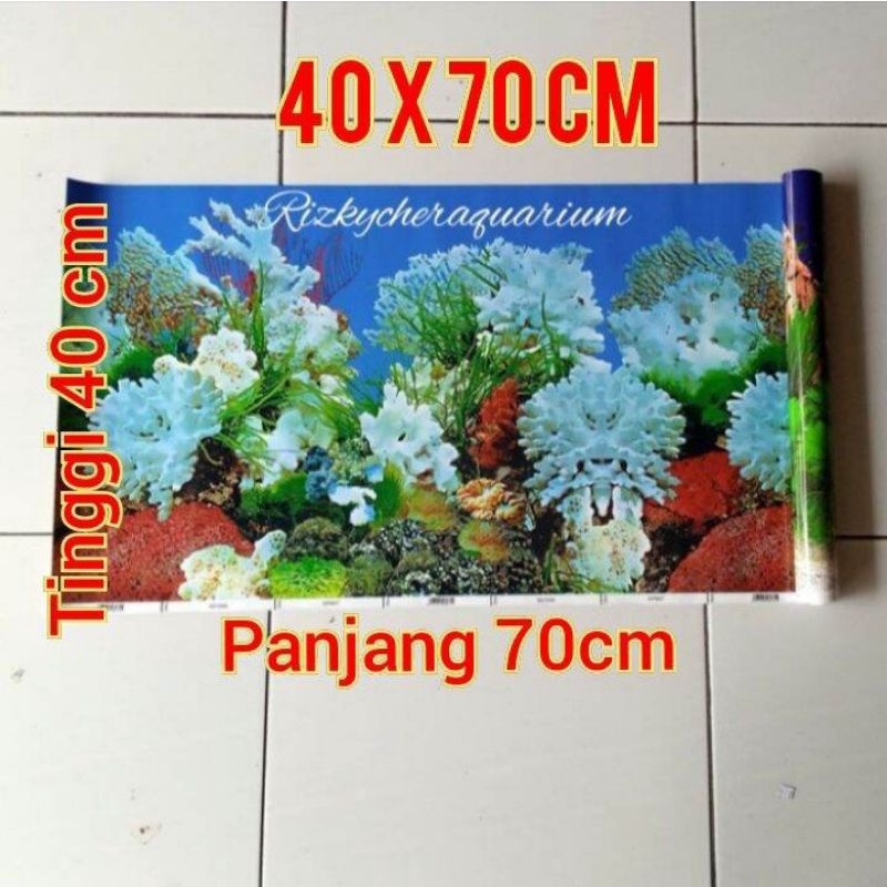Aquarium picture wallpaper 40 X 70cm Height 40cm Length 70cm | Shopee ...