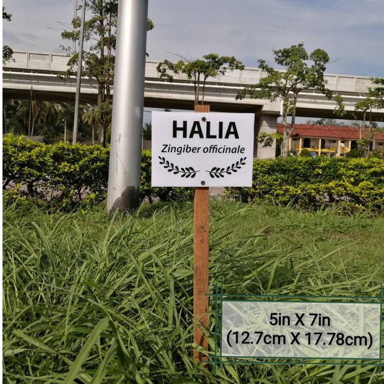 Custom Name Plant Tag Signboard Pokok Label Pokok Nama Tumbuhan Marker ...