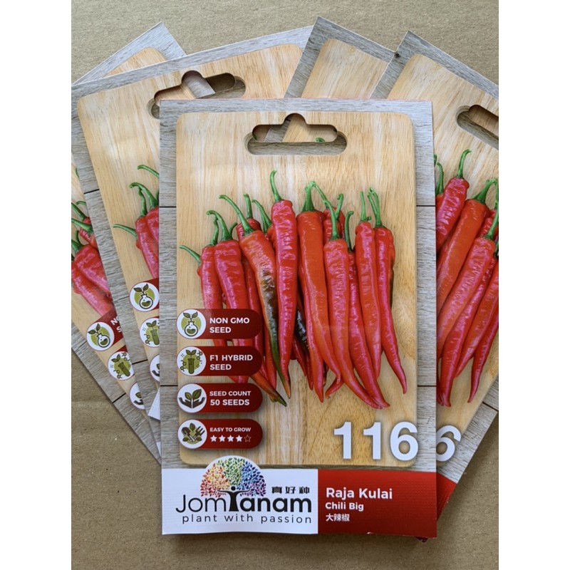 biji benih cili raja kulai f1 hybrid jom tanam non gmo seeds chili big ...