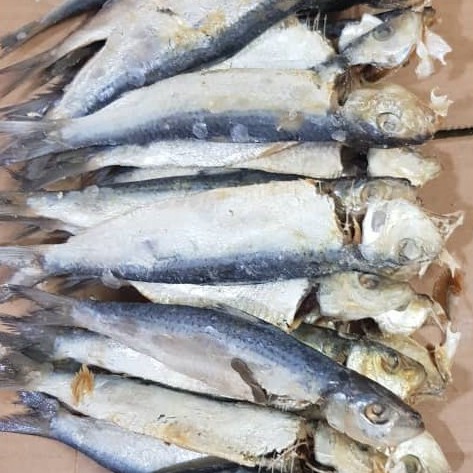 SBP 500g Ikan masin / melong ikan bilis sepat tamban Anak lkan Temedung ...