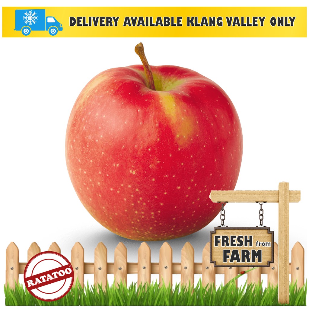 [SALE] (3pcs) Cripps Red Apple FRUIT RATATOO MARKET | Shopee Malaysia