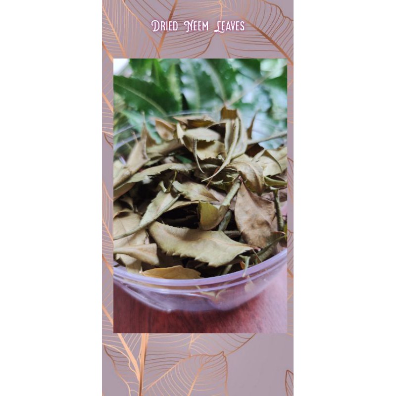 Dried Neem Leaves/Daun Semambu kering (200gm) | Shopee Malaysia