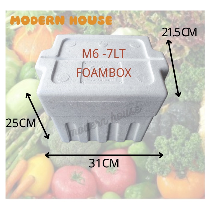 Modernhouse ] Foam Box Polystrene Box Polyfoam Courier Ice box kotak ...