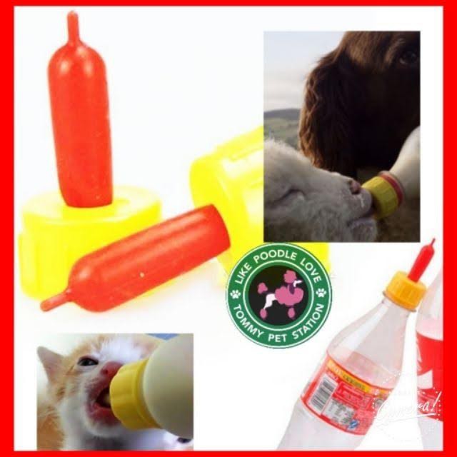 PUTING SUSU KUCING & puppy dog KAMBING Nipple cat | Shopee Malaysia